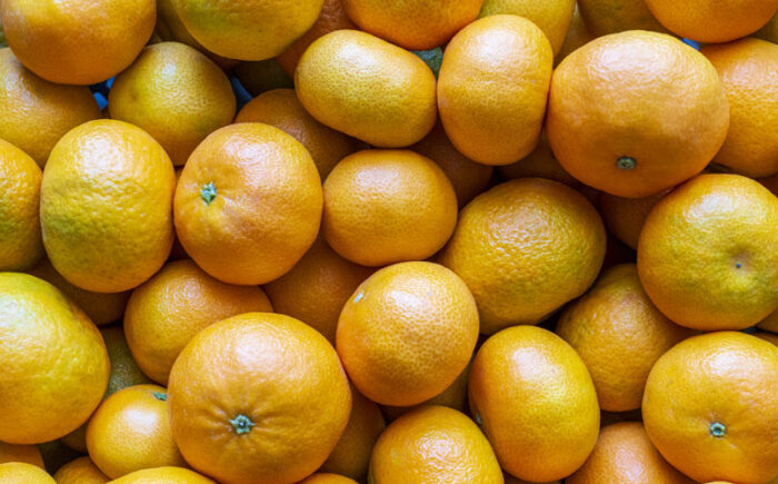 How to Control Sour Rot of Citrus Fruit - Pace International | Global ...