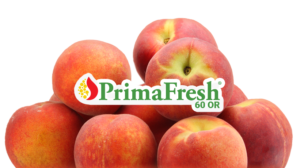 Home - Pace International | Global Leader in Postharvest Solutions