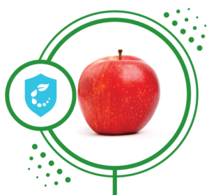 BioSpectra® 100SC Product Overview - Pace International | Global Leader ...