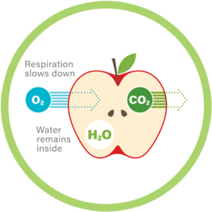 Nature-Guard™ Product Overview - Pace International | Global Leader in ...