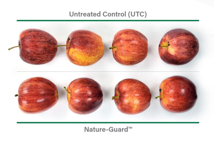 Nature-Guard™ Product Overview - Pace International | Global Leader in ...