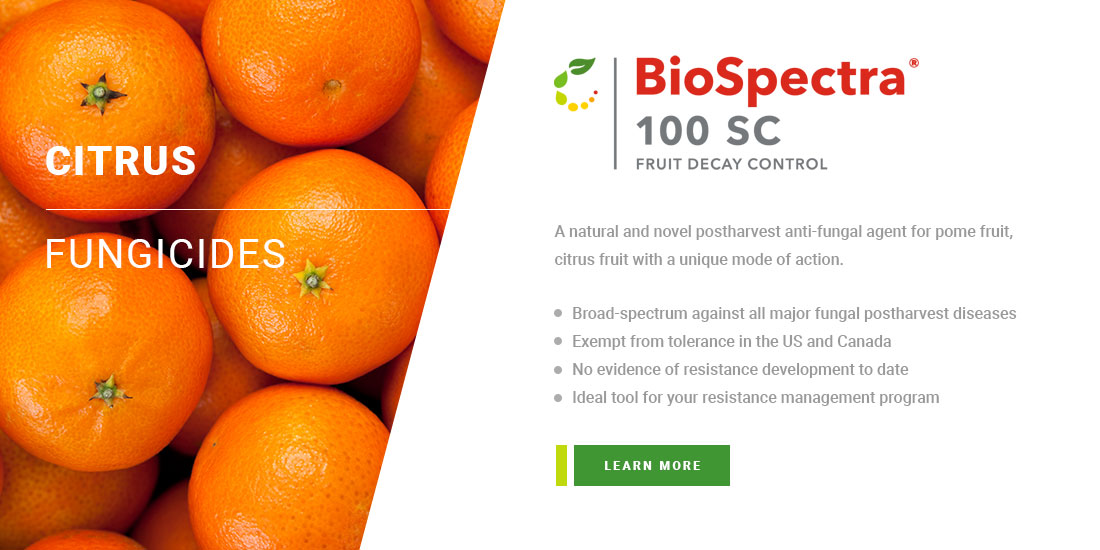 Citrus - Pace International | Global Leader in Postharvest Solutions