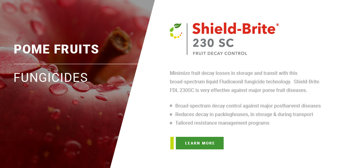 Pome Fruits - Pace International | Global Leader in Postharvest Solutions